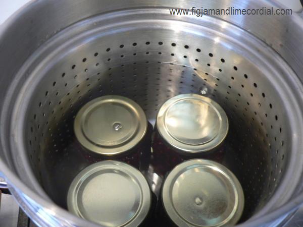 Jam Making Primer | Fig Jam and Lime Cordial
