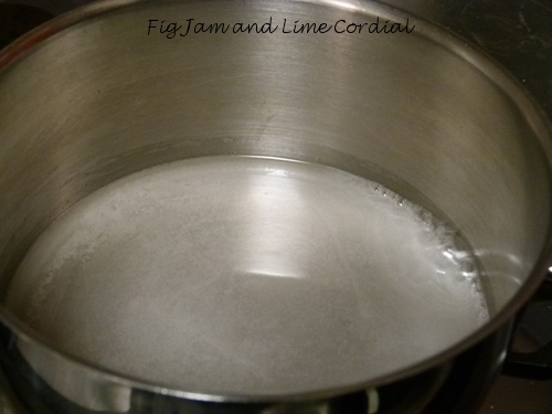 Hazelnut Praline | Fig Jam and Lime Cordial