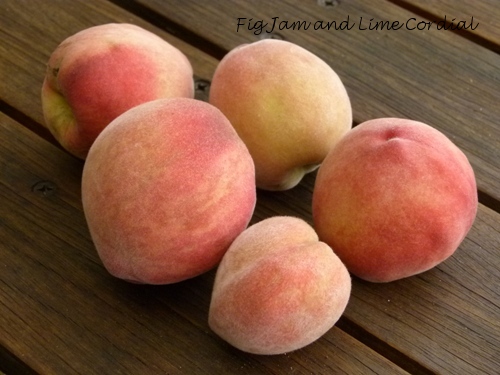 December Garden Update | Fig Jam and Lime Cordial