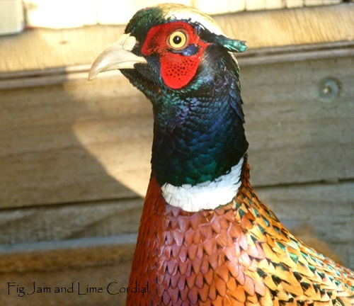 A Very Pleasant Pheasant | Fig Jam and Lime Cordial