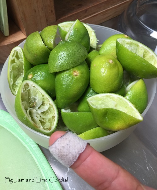 Loads of Limes | Fig Jam and Lime Cordial