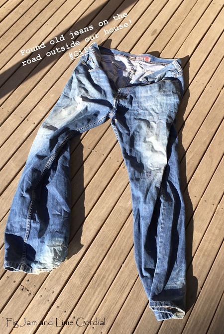 Roadkill Denim Challenge | Fig Jam and Lime Cordial