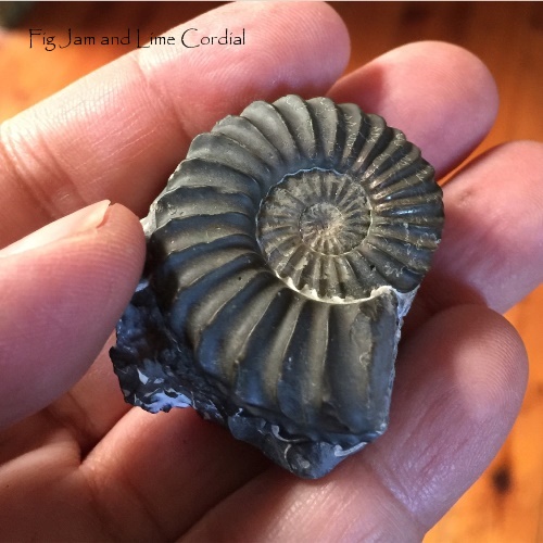 Ammonite Tea Bowls | Fig Jam and Lime Cordial